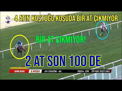 BU KOŞU SADECE 2 AT VAR!!