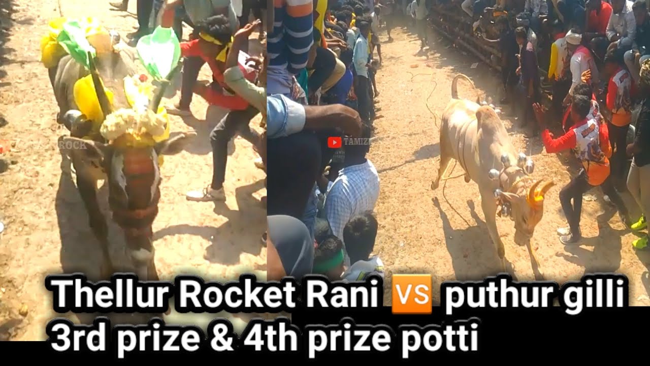 Thellur Rocket Rani 🆚 puthur gilli 3rd Prize & 4th prize சீலேரி வீதி 11 ...