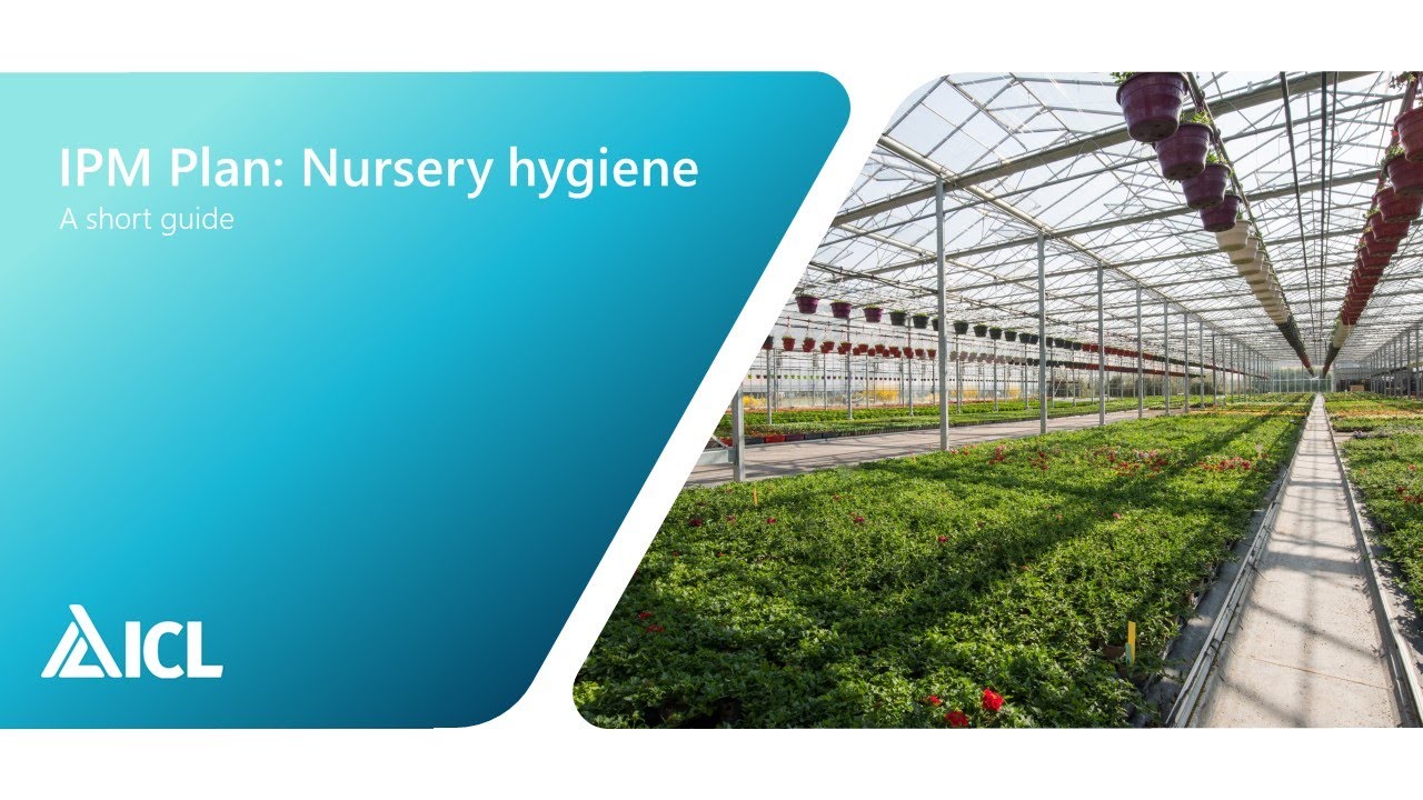 IPM Plan: Nursery Hygiene | ICL Professional Horticulture - YouTube