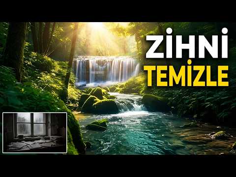 Zihni Temizleyen Piyano Müziği & Doğal Kuş Sesleri | Uyku, Çalışma, Yoga