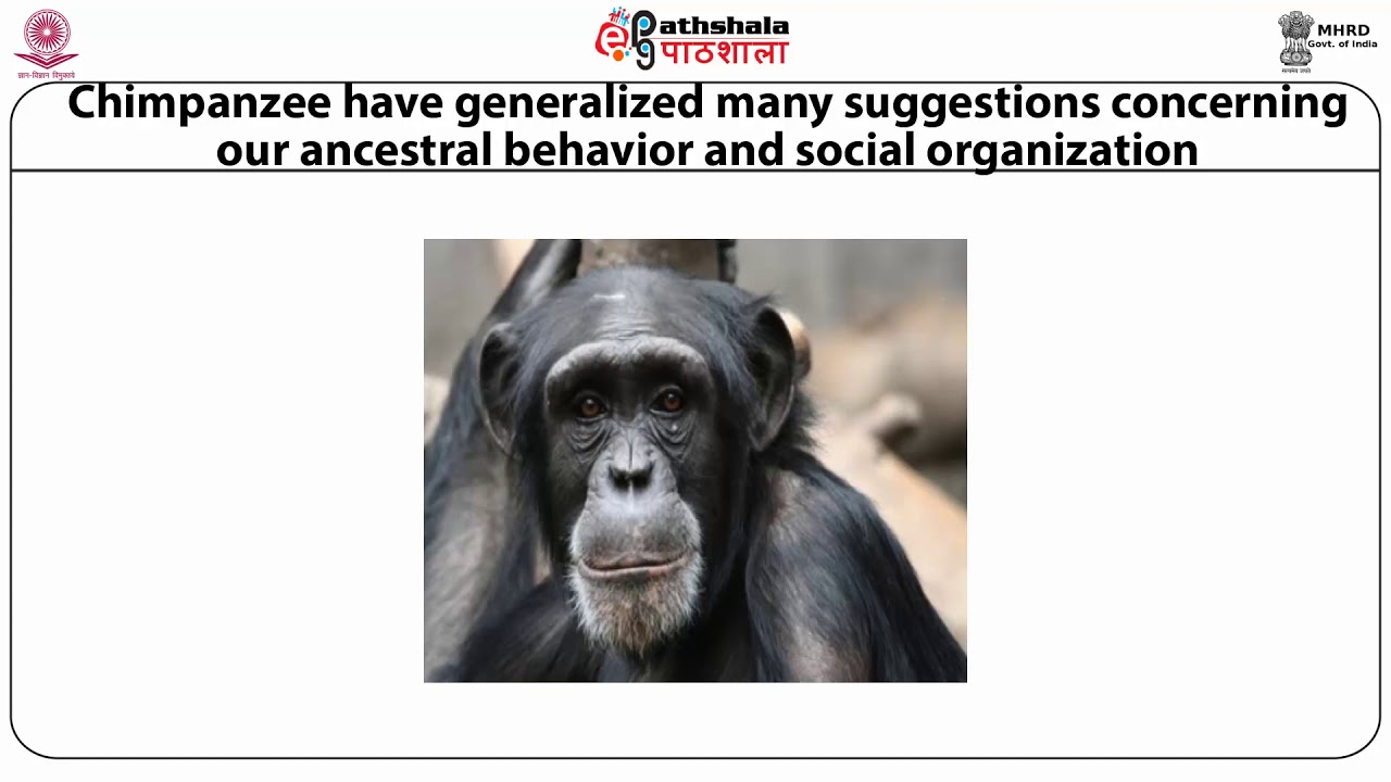 Anth P01 M12. Reconstruction of ancient human behavior and social ...