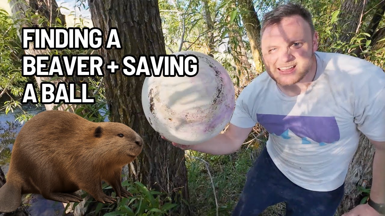Waiting for a Beaver & Rescuing an Abandoned Ball - YouTube