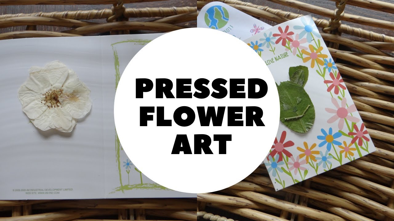 Pressed Flower Art Amazing Results!: Kit For Kids and For the Entire ...