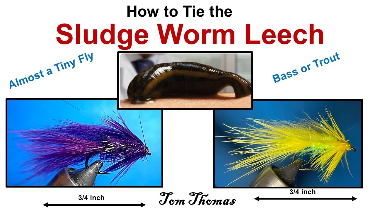 Tying The Sludge Worm Leech Fly Pattern = Tiny Leech - YouTube
