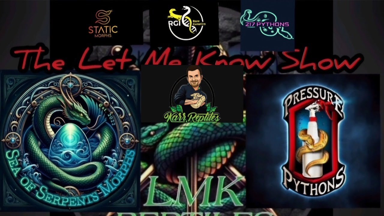 Episode 77: The Let Me Know Show welcomes Justin from Karr reptiles ...