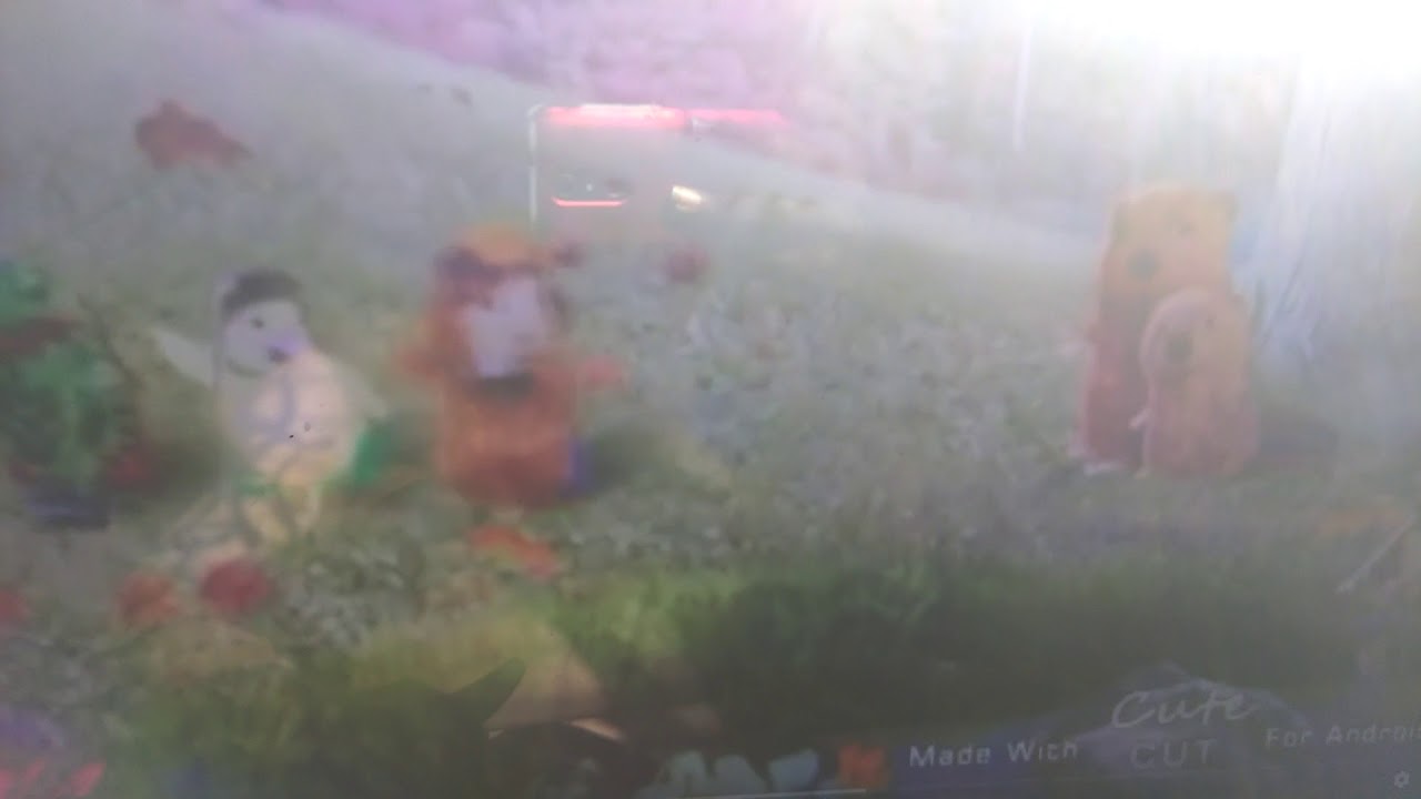 Wonder Pets Goodbye Scenes (For Colleen Ford) - YouTube