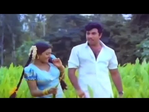Thenna mara thoppukullae /Tamil superhit romantic melody duet song ...
