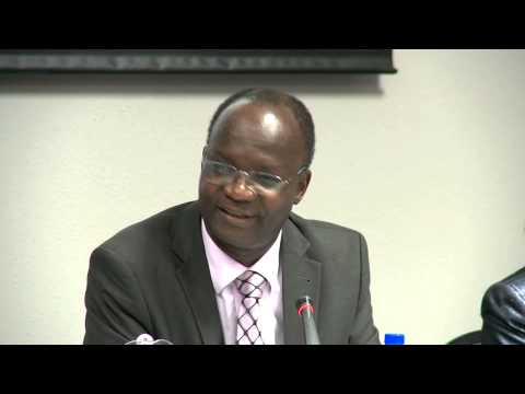 Mr. Jonathan Moyo, Minister of information, Zimbabwe - YouTube