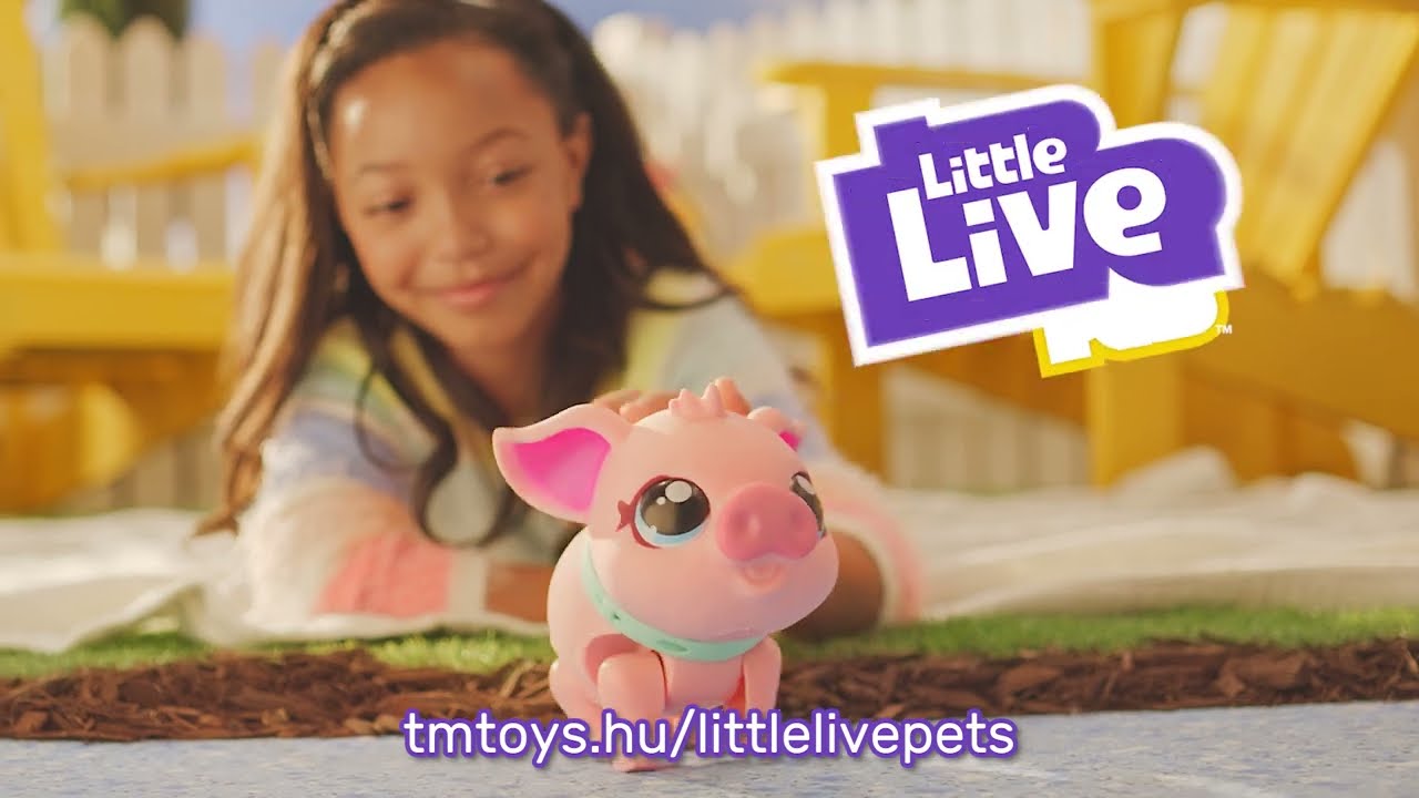 Little Live Pets - Pinki a kismalac - YouTube