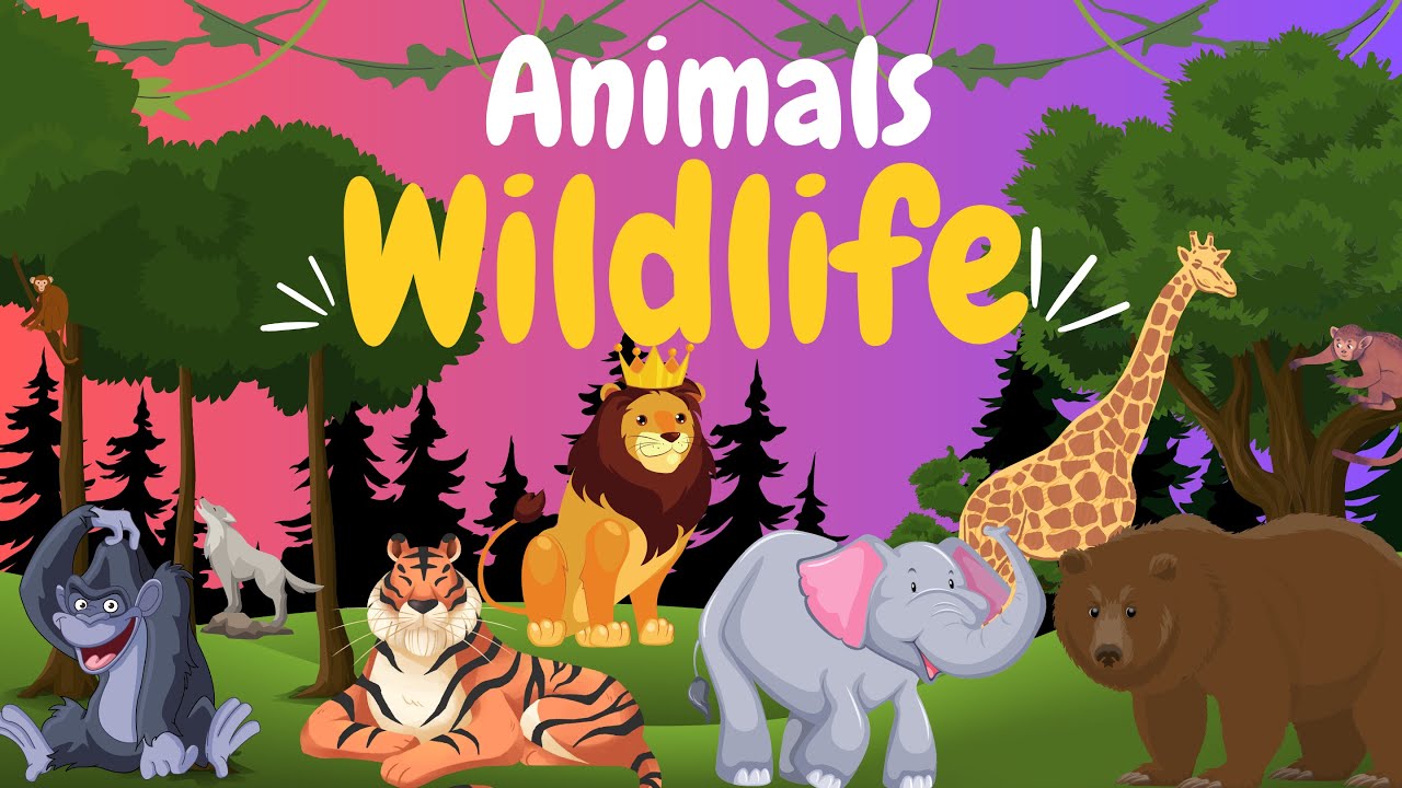 Can You Guess The Wild Animal? | Fun Names For Kids | Duka Kids - YouTube