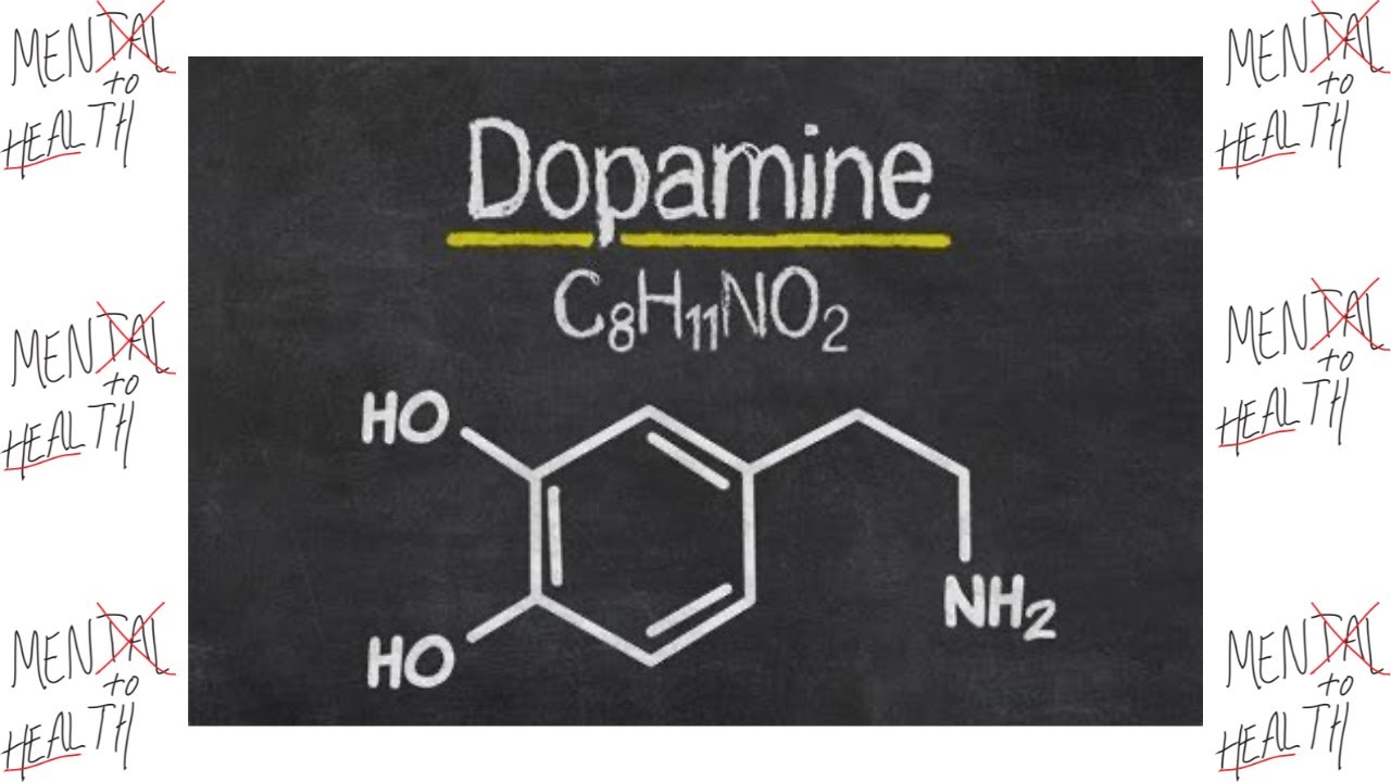 Dopamine: the reward system - YouTube