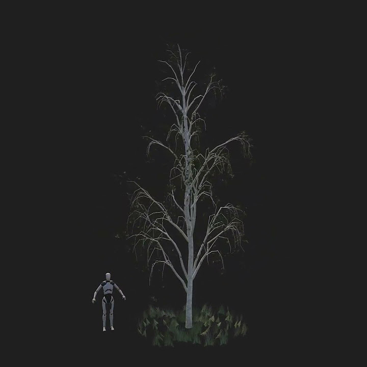Birch Spring V5 Gamedev 3dmodeling Unity Unityassetstore Unityasset Speedtree Youtube 