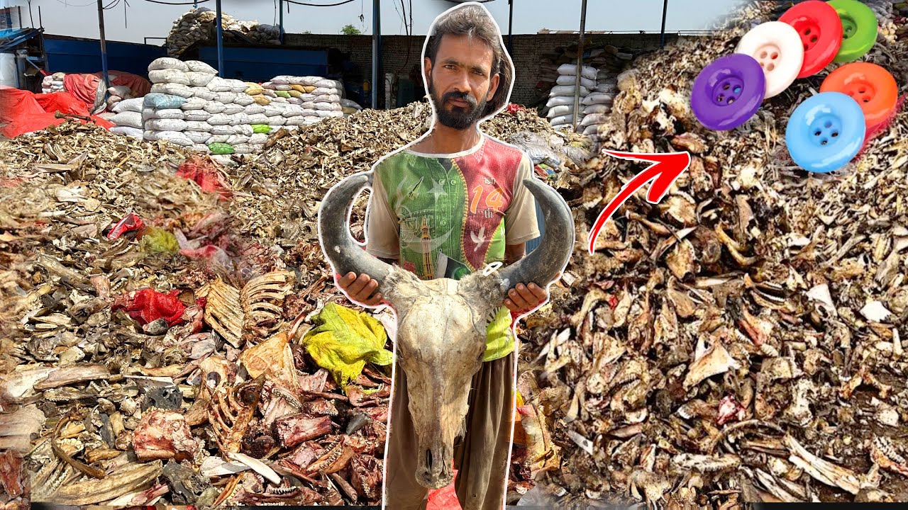 Incredible! Process of Billions Waste Animals Bones Recycling and ...