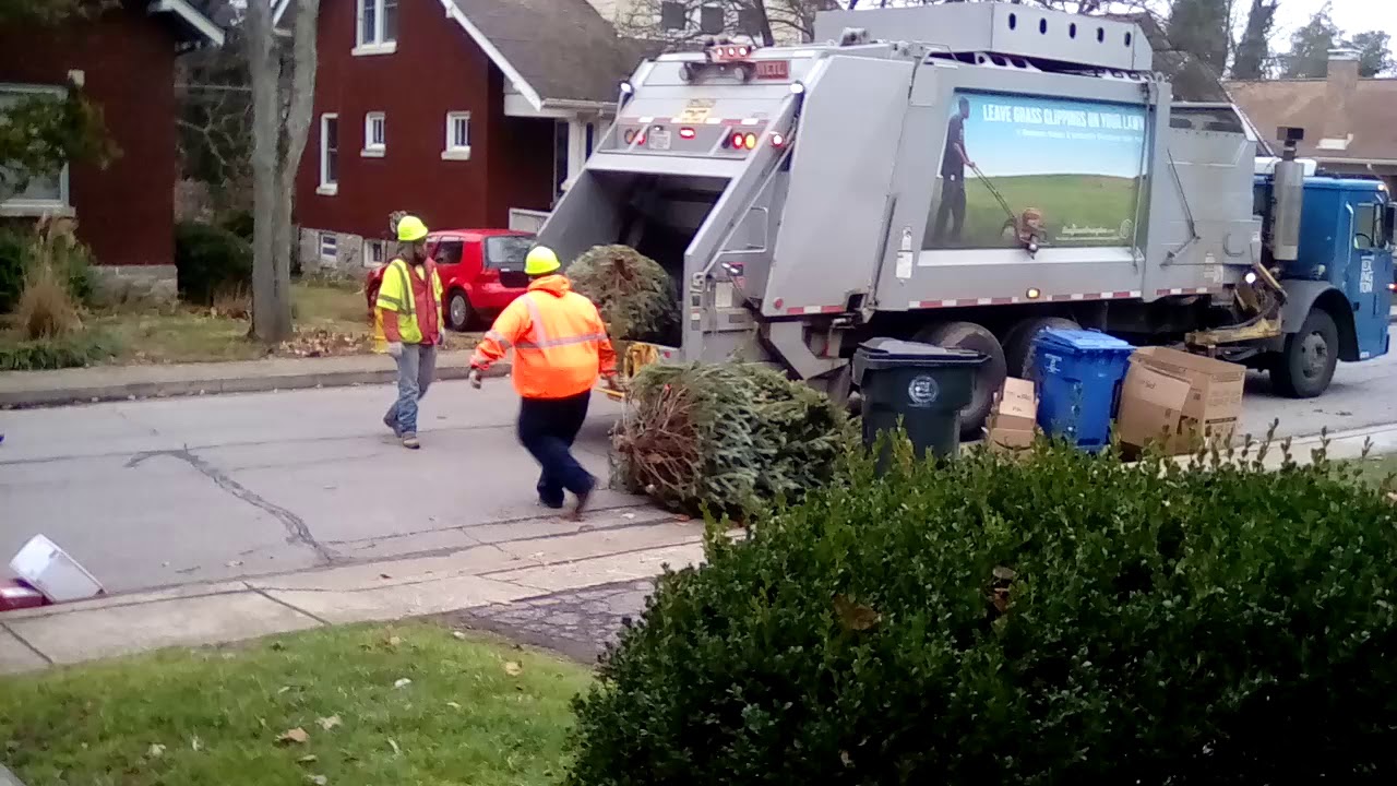 Heil multi pack eating Christmas trees - YouTube