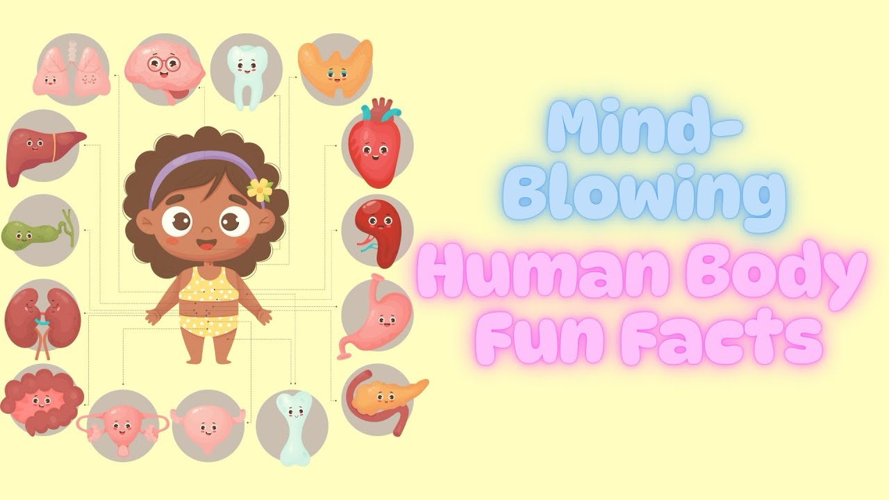 Mind-Blowing Human Body Fun Facts - YouTube