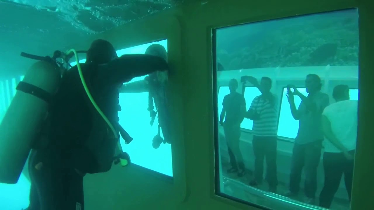 Glass Bottom Semi Submarine - YouTube