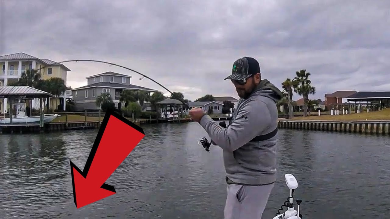 We Caught Limits Of Fish On A Tiny Lure In Pensacola Florida - YouTube