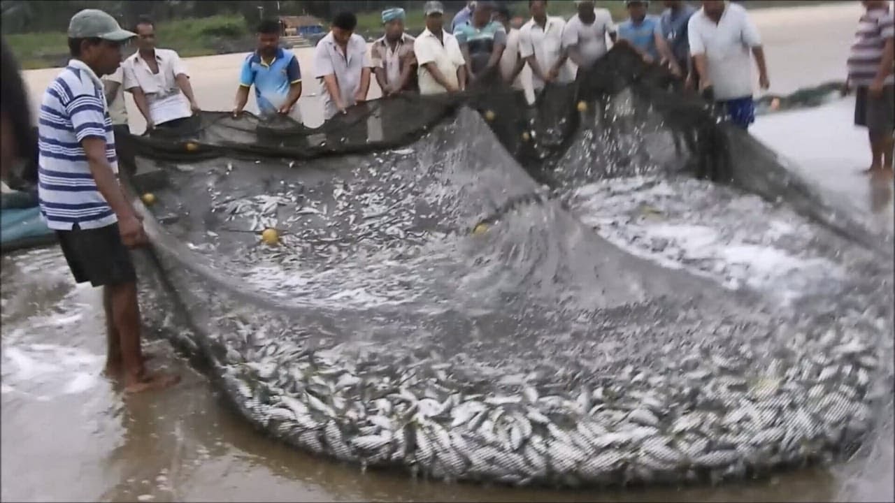 koknatil masemari - rapan , Malvan - YouTube