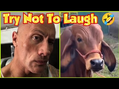 "Laugh Till You Drop: The Ultimate Try Not to Laugh Challenge!" #Funny ...