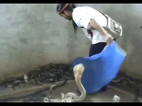 Ilan saxliyan Esma.Az