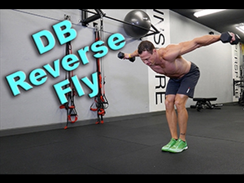 Dumbbell Reverse Fly Exercise - YouTube
