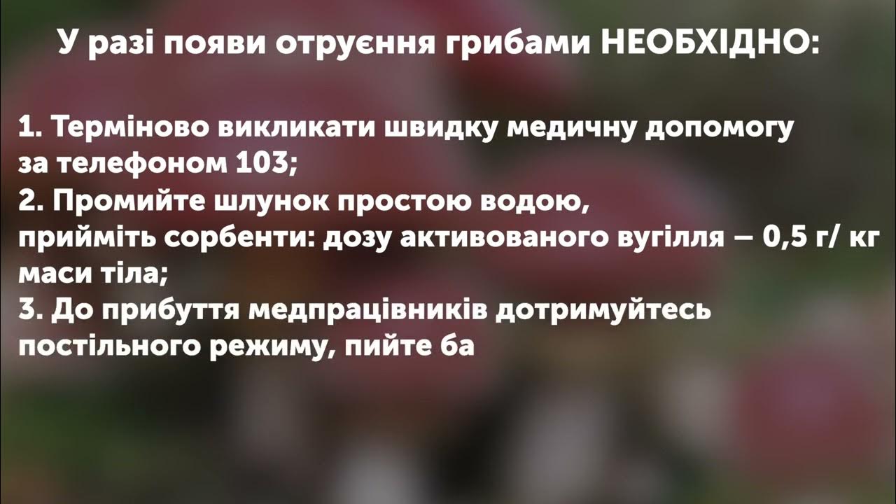 Як не отруїтись дикорослими грибами Youtube