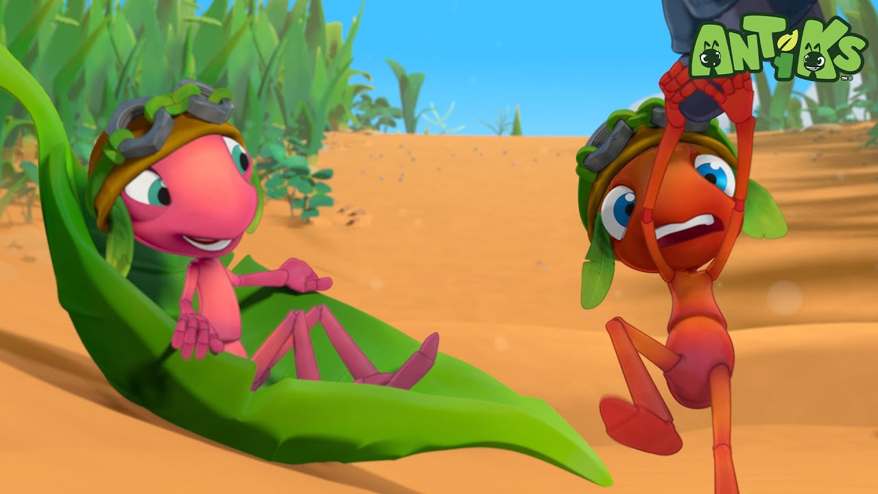 Balapan Gila Joey dan Boo | ANTIKS Indonesia | Kartun Lucu | Kartun ...