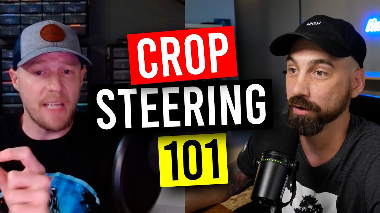 The Basics Of Crop Steering Your Plants To A Higher Quality & Yield ...