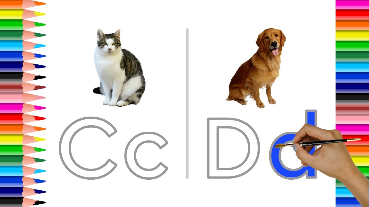 ABC Alphabet Drawing and Colouring | Learn Capital and Small C D | ABC ...