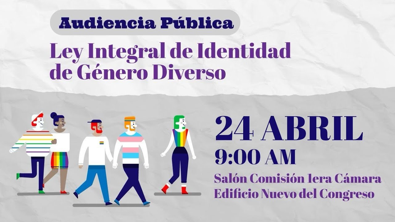 Audiencia Pública Ley Integral de Identidad de Género Diverso - Abril ...