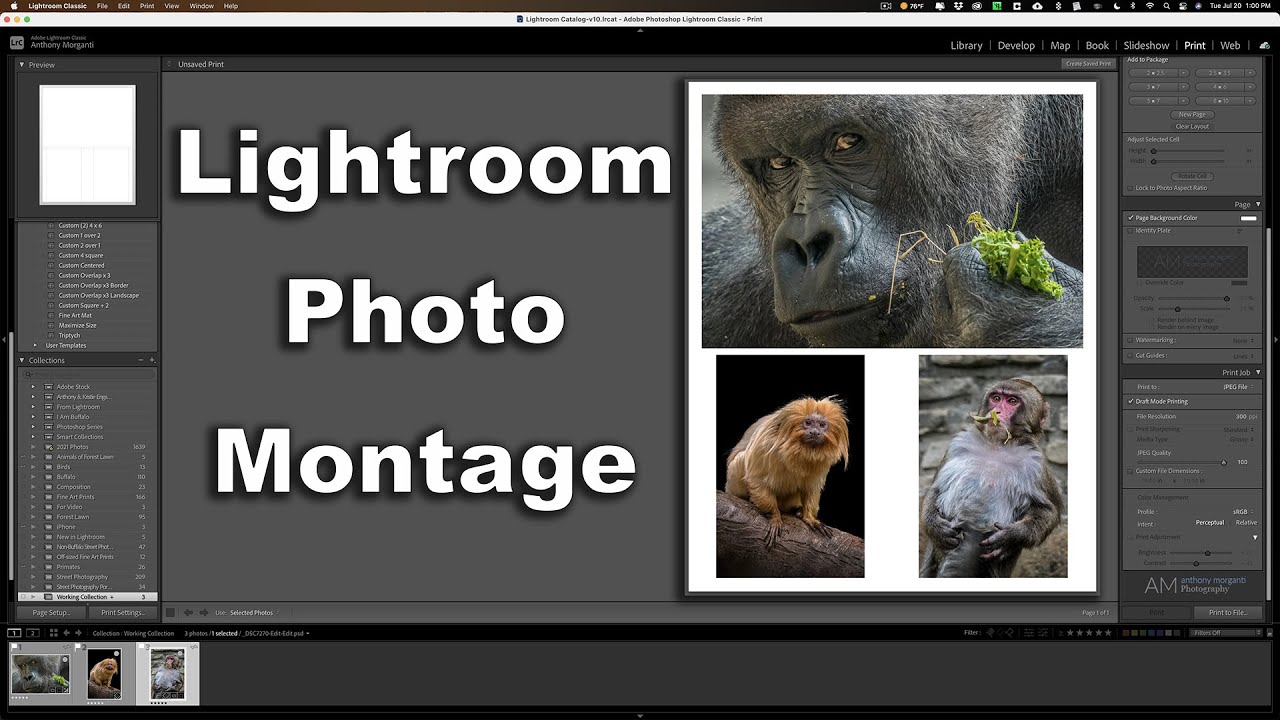 How To Create a PHOTO MONTAGE in Lightroom - YouTube