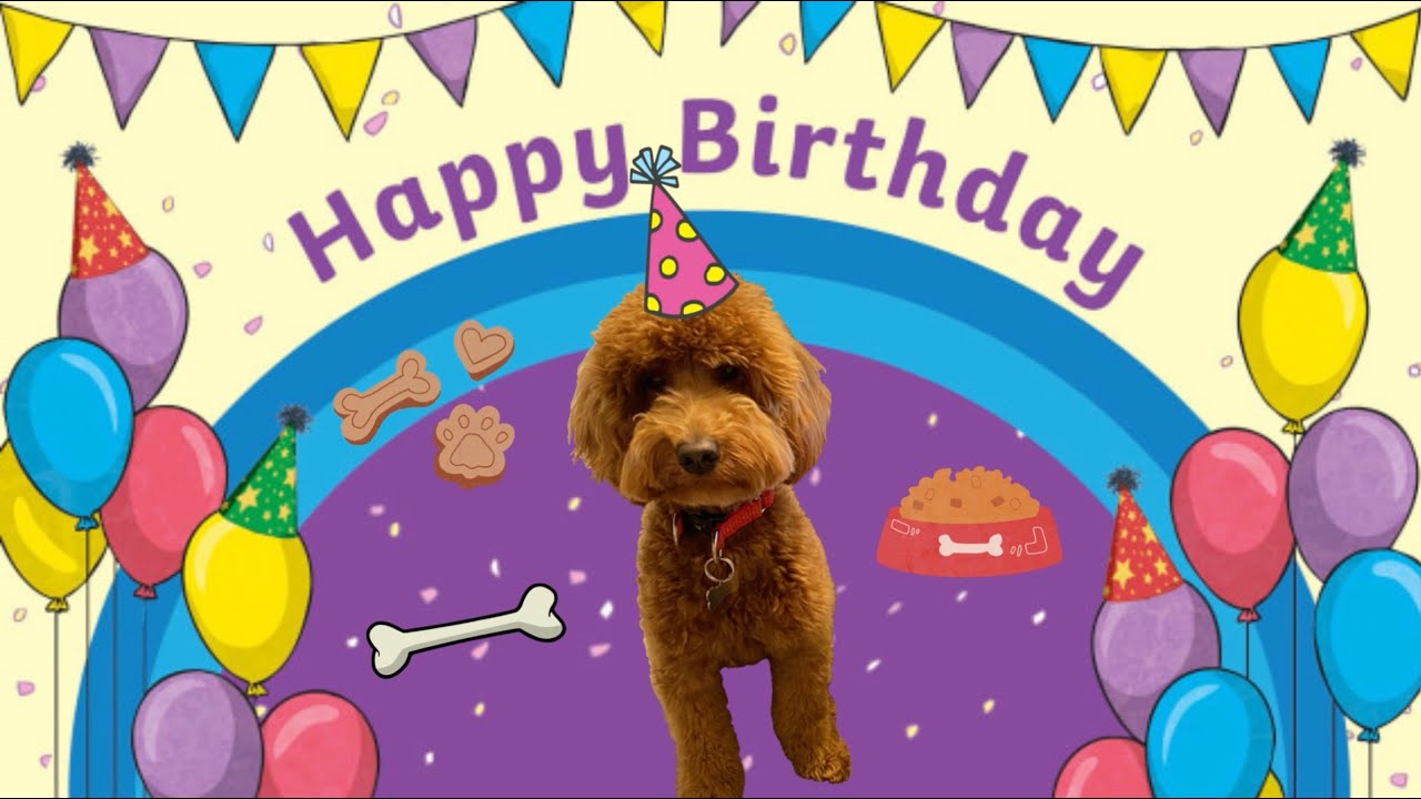 Happy Birthday Rudy! - YouTube