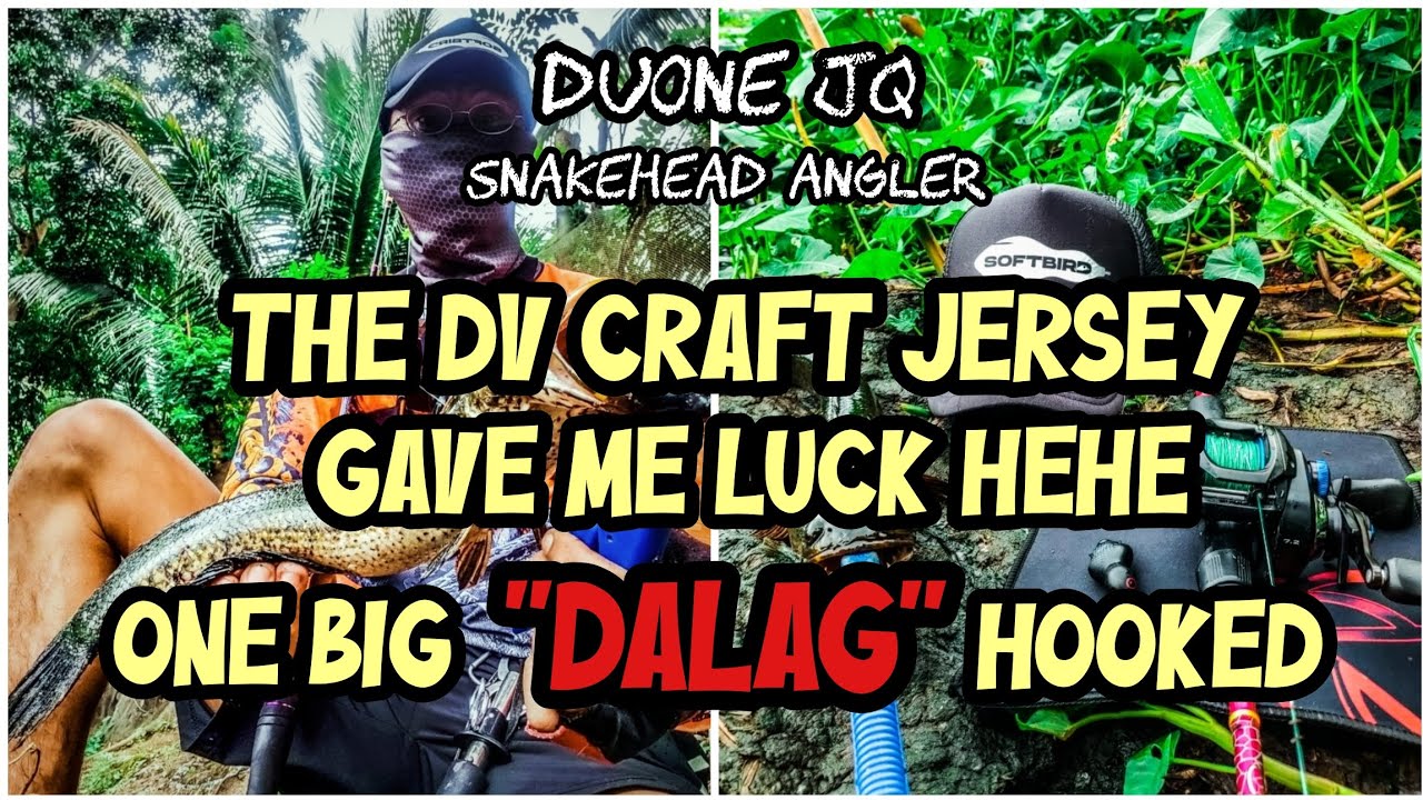 Snakehead Top Water Angling, Channa Striata, Dalag/ Haruan/ Gabus ...