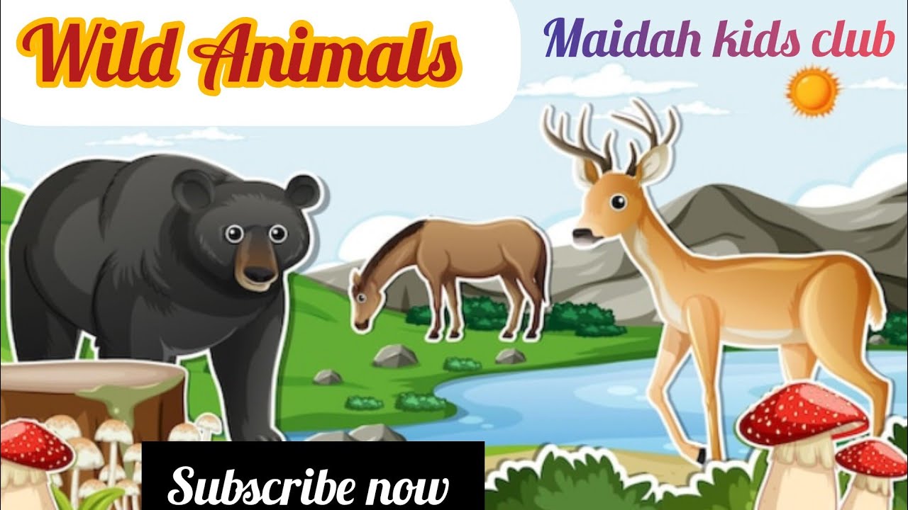 wild animals name | wild animals in english | rhyme - YouTube