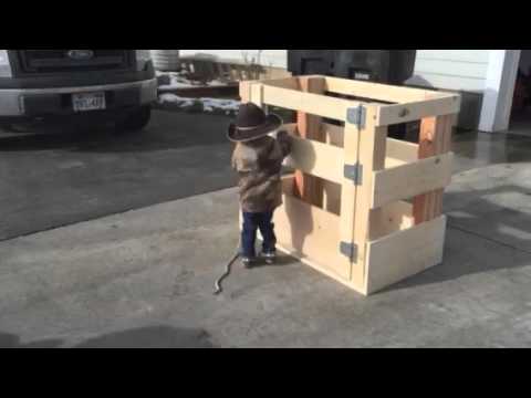 Rhett and Thayne Playing with their Rodeo Chute - YouTube