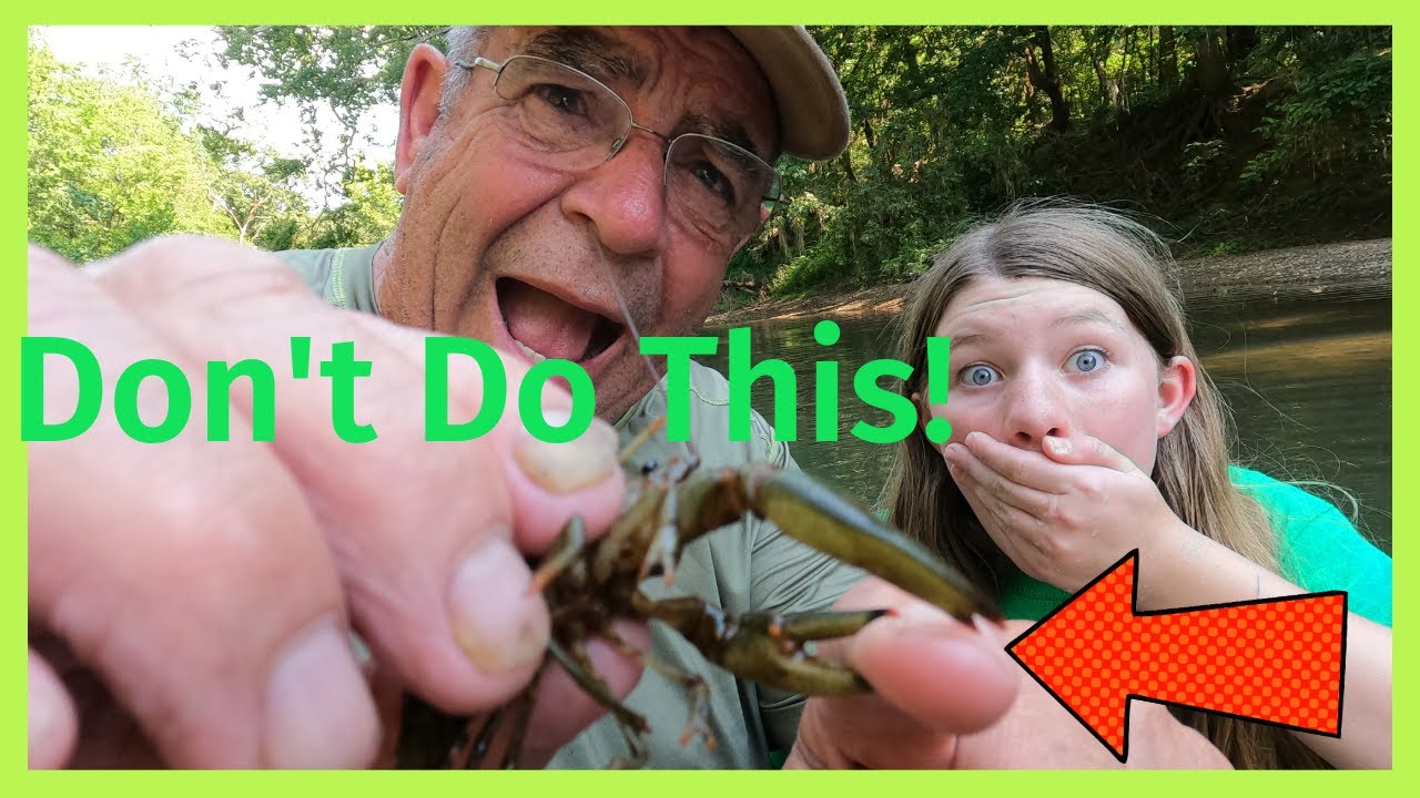 Catching Crawdads and Testing Their Pinch Power! Ouch! - YouTube