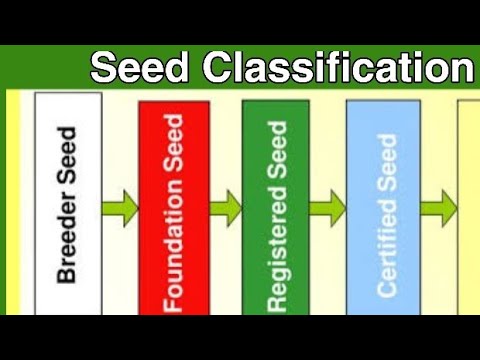 Seed types and their tag Colour #seedscience #seedtagcolour # ...