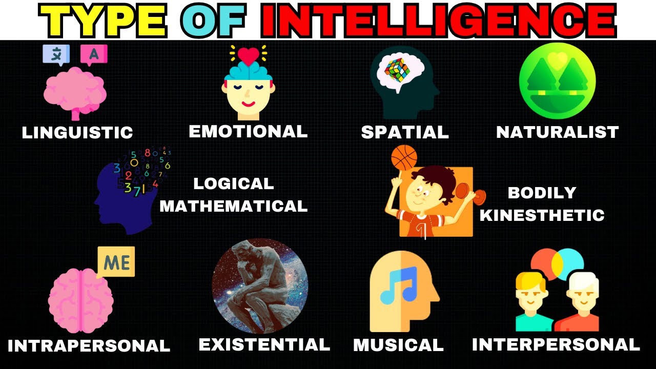 Every Type of INTELLIGENCE Explained in 8 Minutes - YouTube
