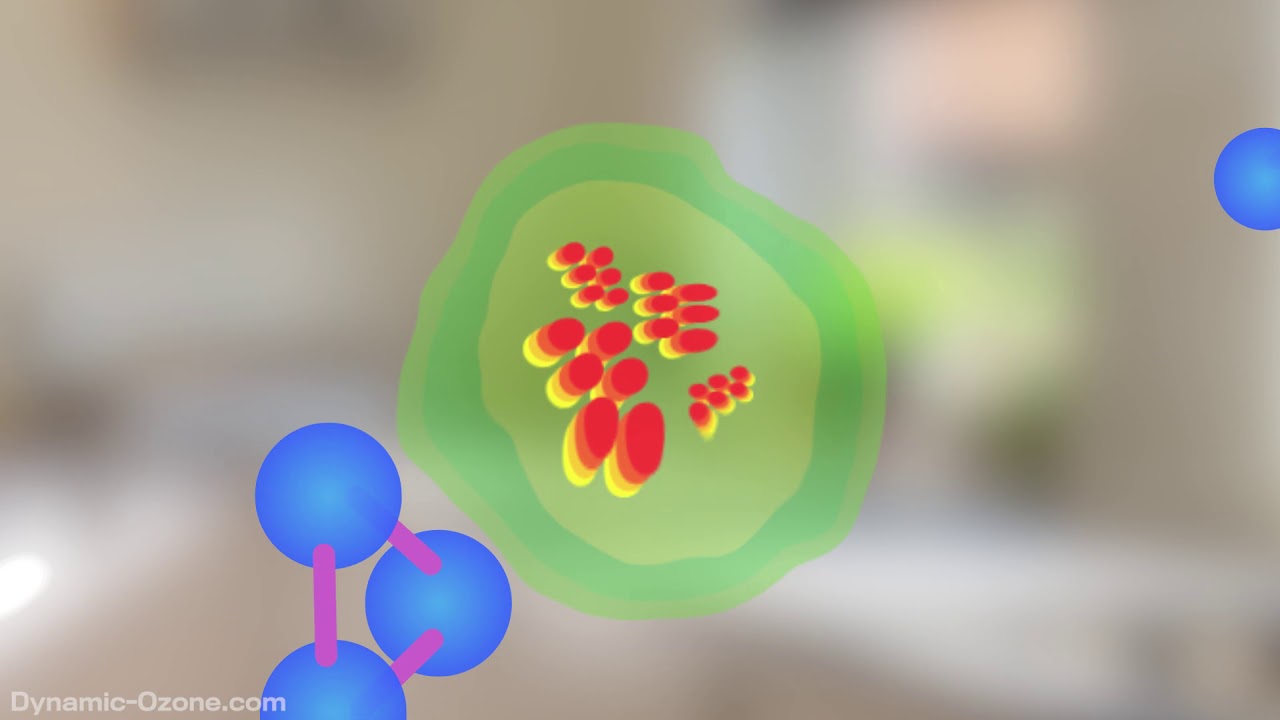 Dynamic Ozone Promotional Animation - YouTube
