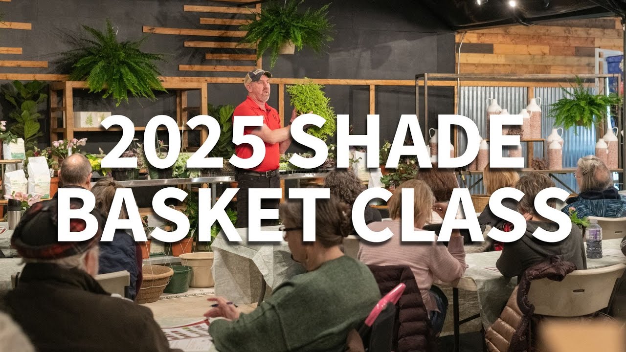 2025 Bauman's Shade Basket Class | submit orders by the end of January - YouTube
