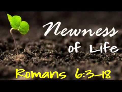 Newness of Life - YouTube