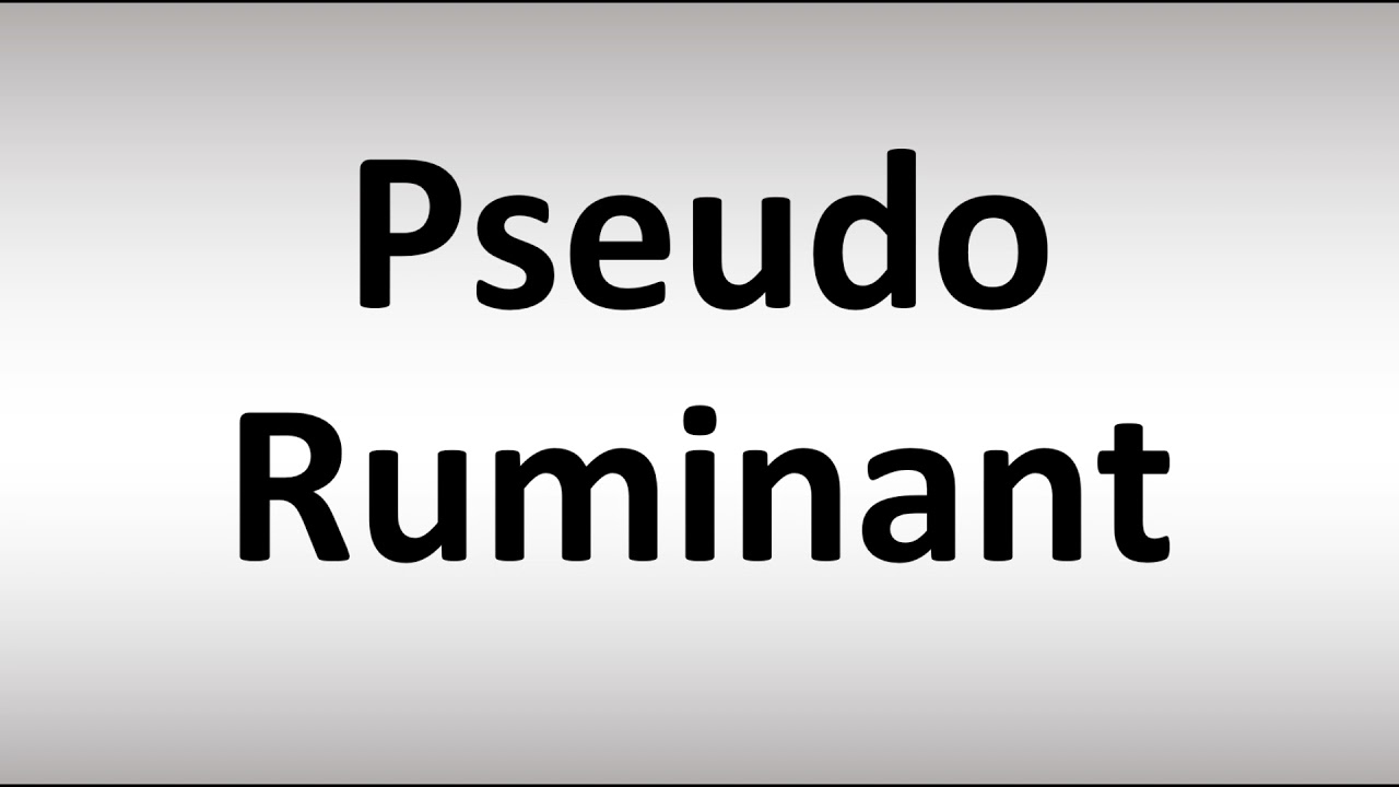 How to Pronounce Pseudo Ruminant - YouTube