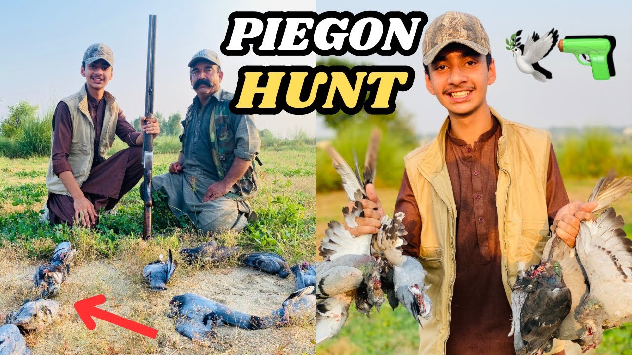 SEASON 2 SHIKAR 🔫| PIEGON HUNTING 🕊️|NUMAIR ALAM BHATTI VLOG 👍 - YouTube