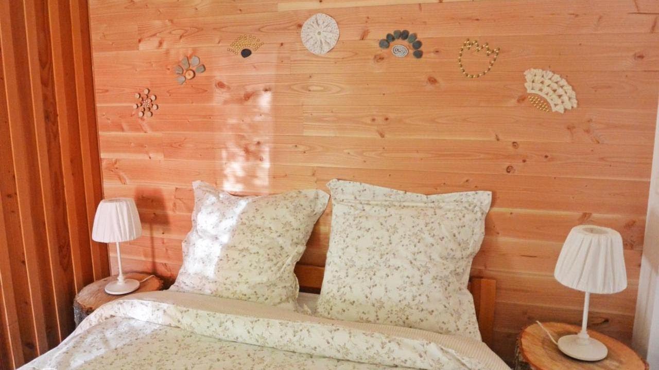 Chalet Cosy Nature, Alzon, France - YouTube