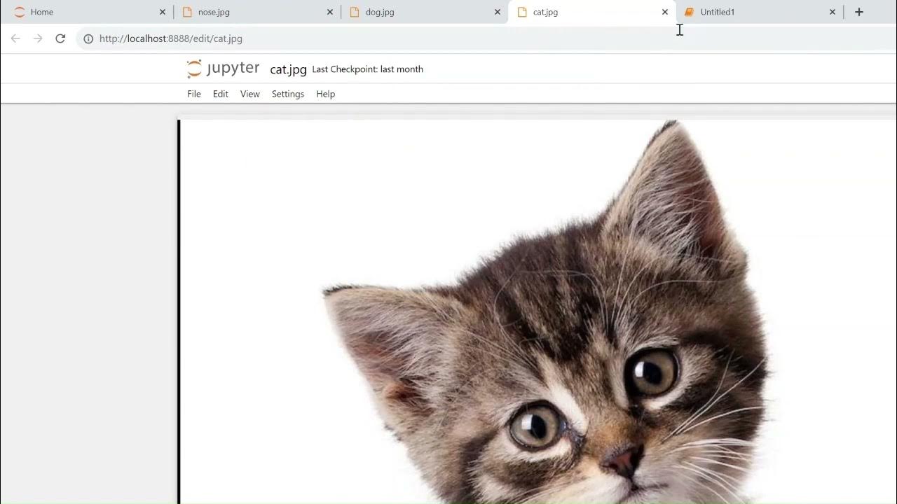 Como crear una Interfaz Gráfica para tus modelos de IA y Machine ...