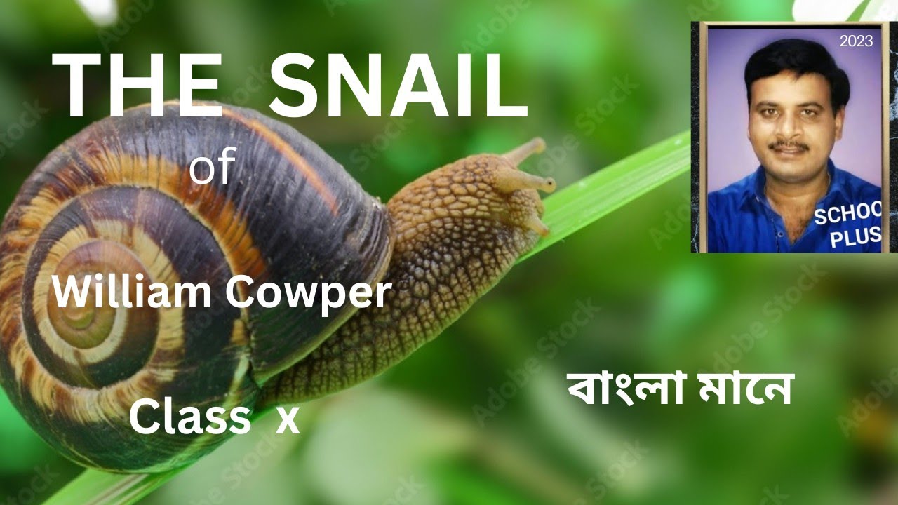 The Snail: The Most Beautiful Poem About a Slug - YouTube