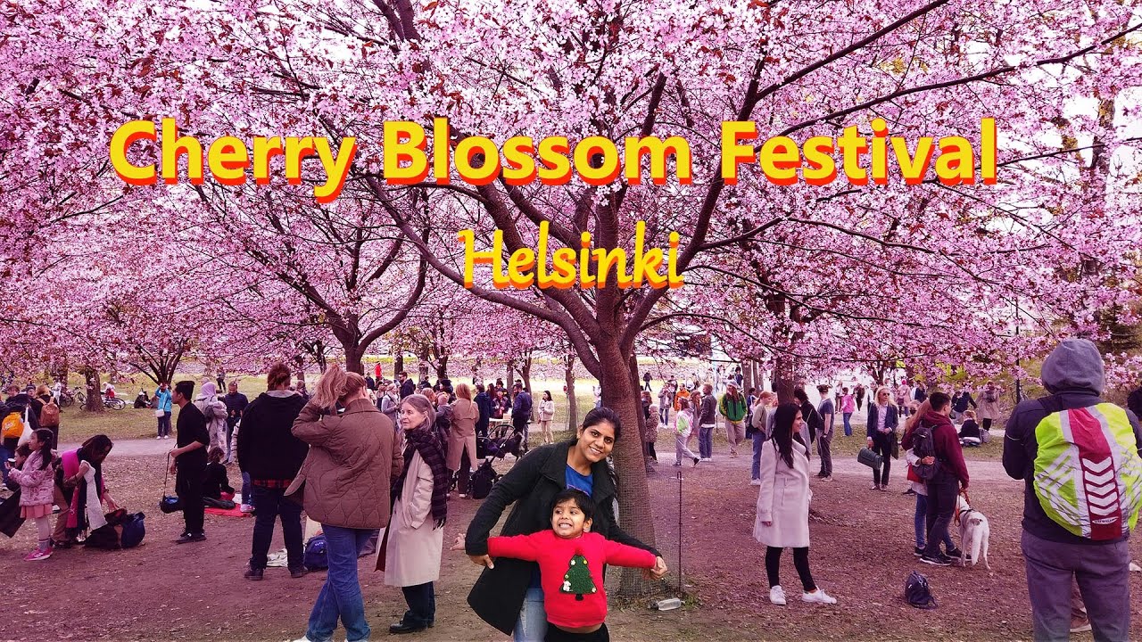 Cherry Bloosom Festival | Helsinki | Finland | Hanami Festival l Japan ...