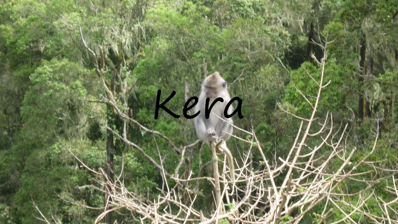 How to Pronounce Kera? - YouTube