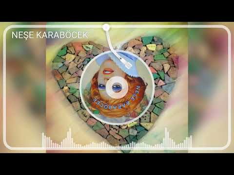 #SVC MÜZİĞİN VE RADYONUN YENİ ADRESİ NEŞE KARABÖCEK Hoş gör aldırma #neşekaraböcek