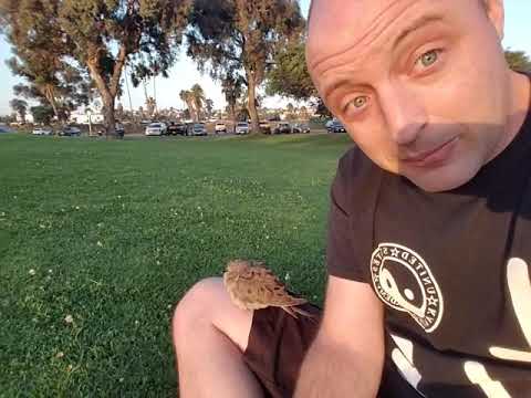 George the bird! 2019 - YouTube